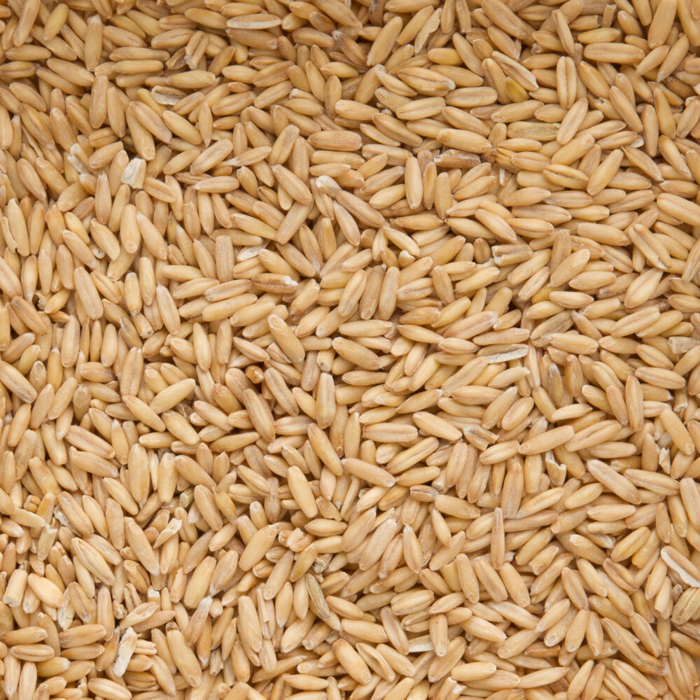 Beyers Gepelde Haver 25 kg | Plein.nl