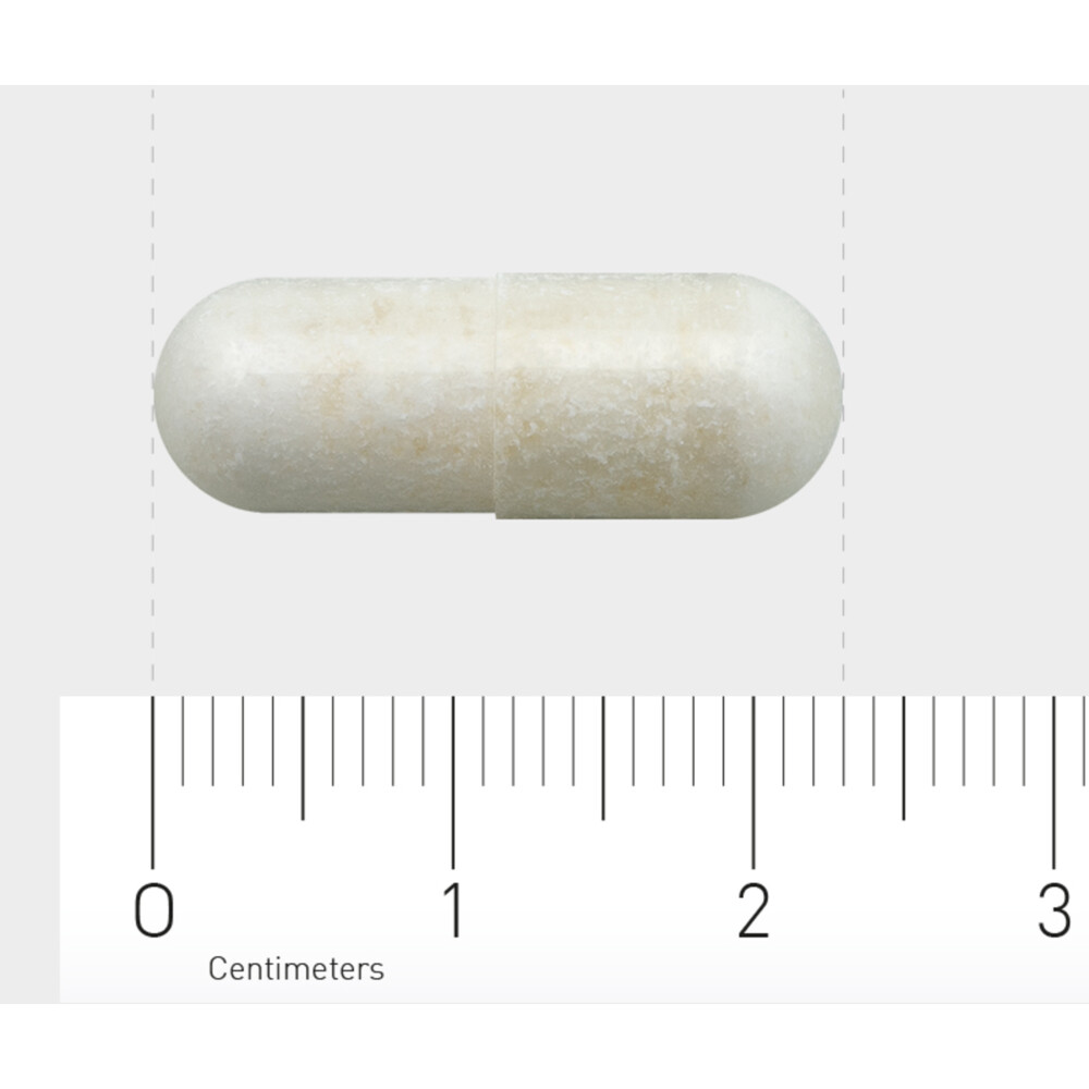 AOV 1103 Mycopryl 60 vegacaps | Plein.nl