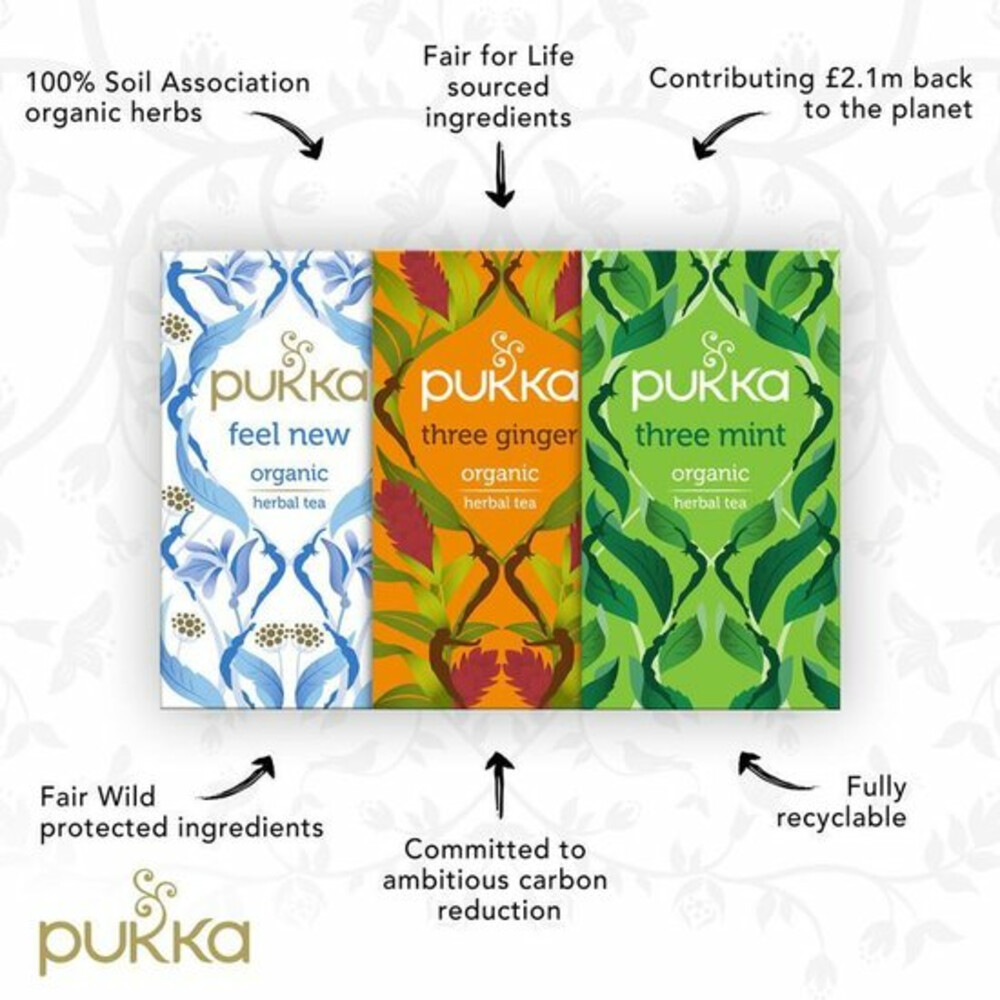 Pukka Thee Bundel After-Dinner 3 stuks | Plein.nl