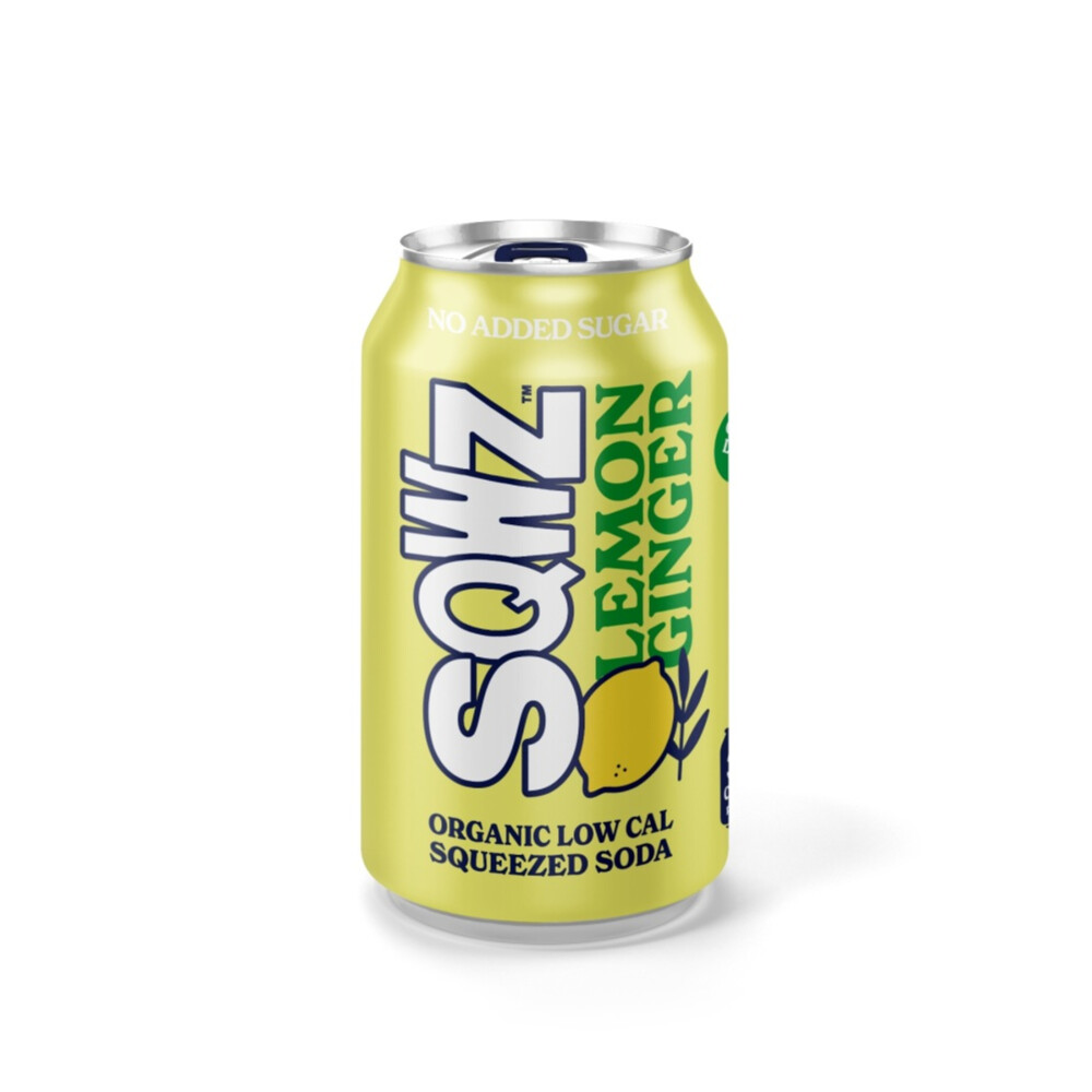 SQWZ Biologisch Frisdrank Citroen Gember 330 ml | Plein.nl