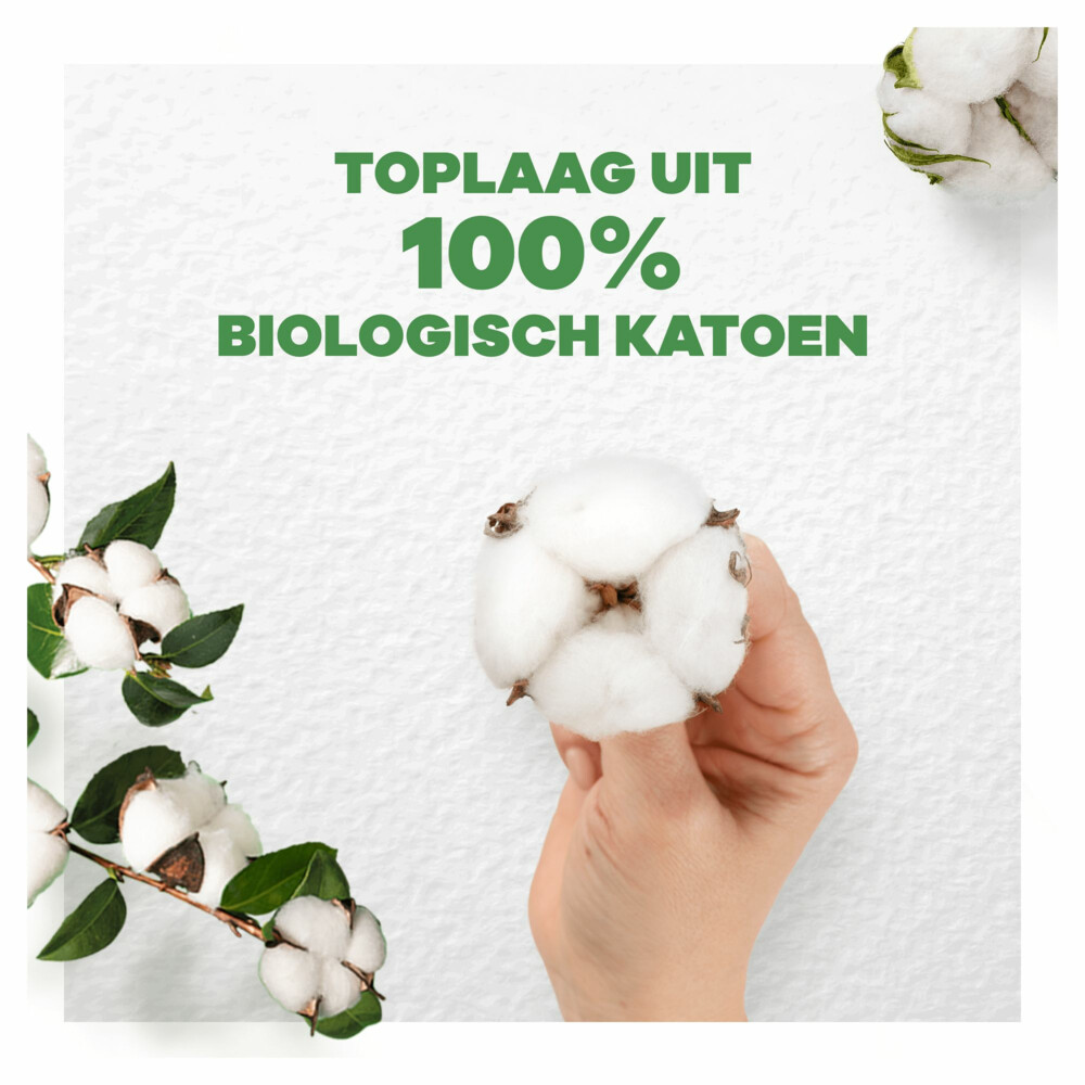 Always Maandverband Bio Cotton Night 48 stuks | Plein.nl