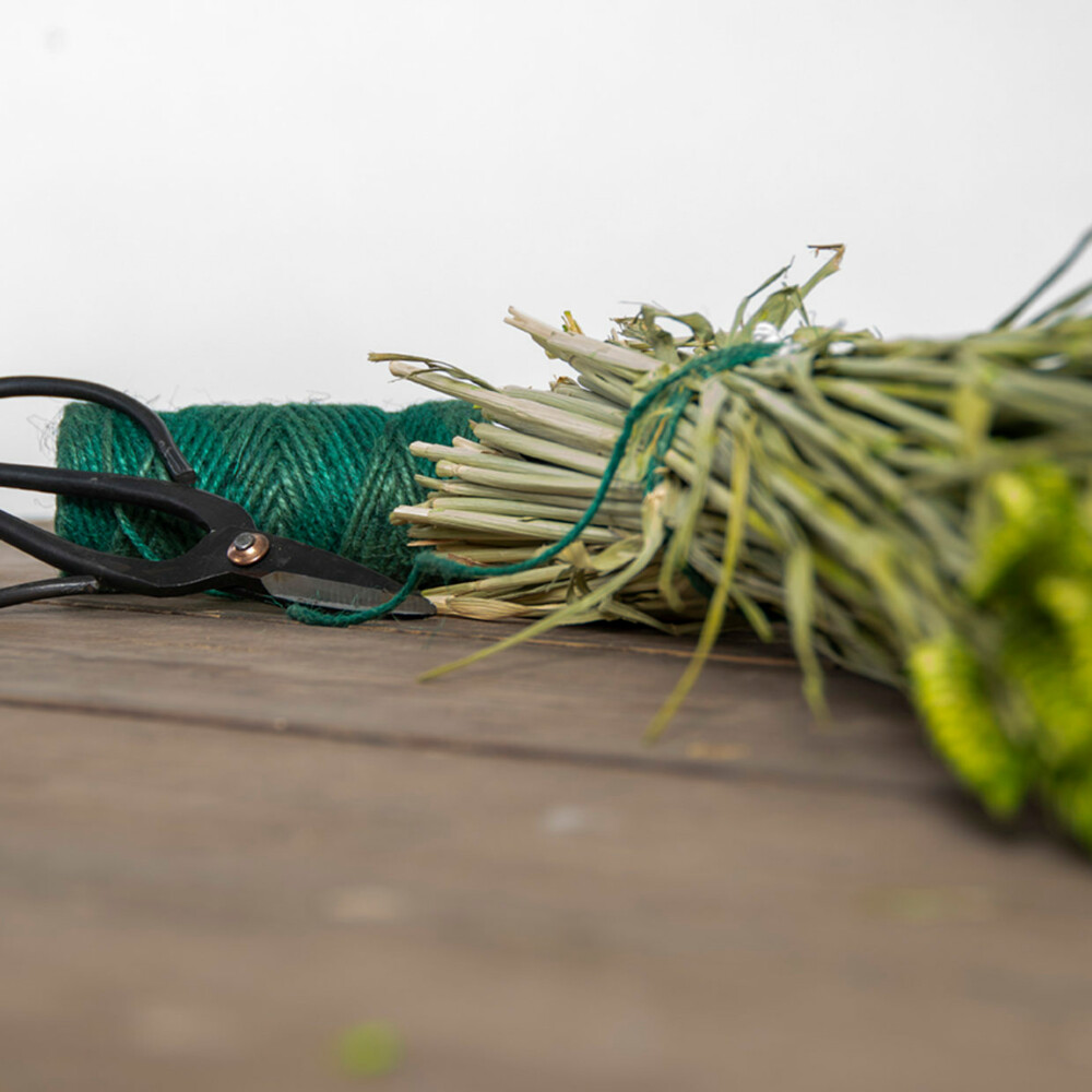 Esschert Design Geschenkset Touw En Schaar Groen | Plein.nl