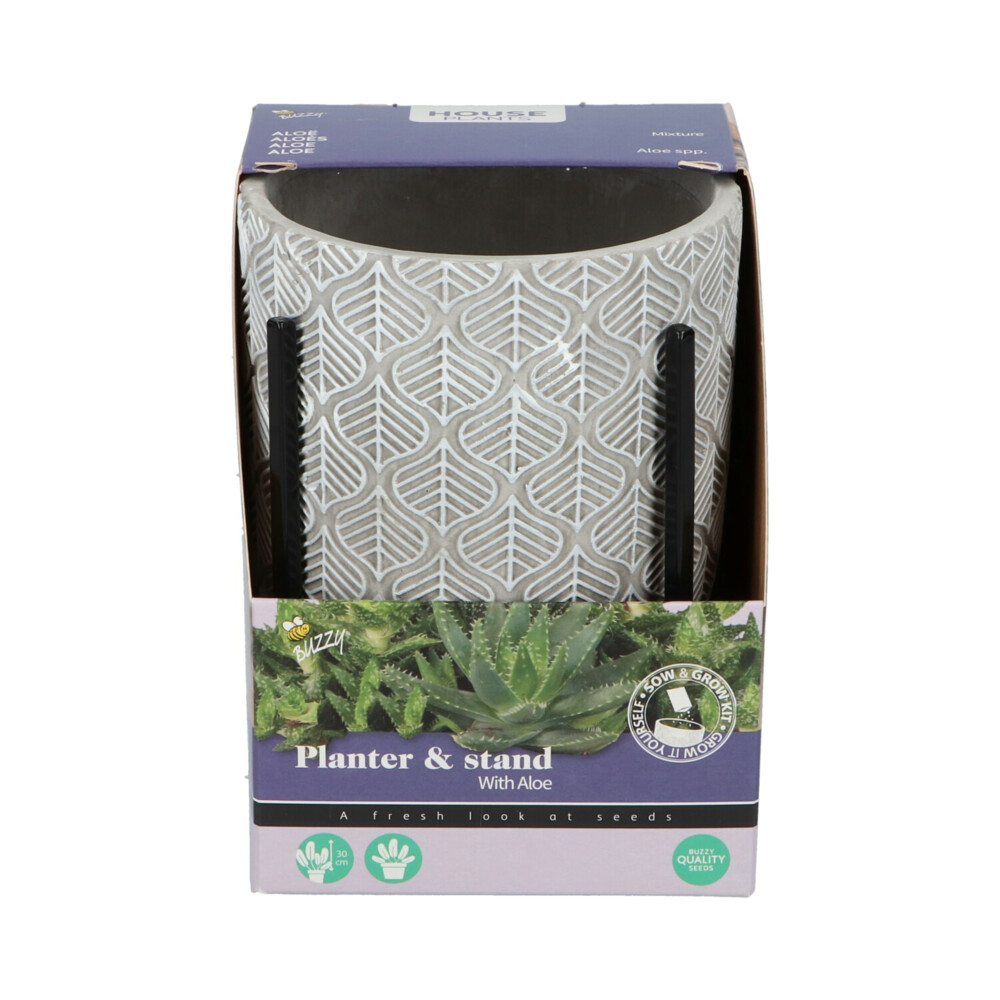 Buzzy House Plants Plantenpot in Standaard met Aloe Vera Zaden | Plein.nl