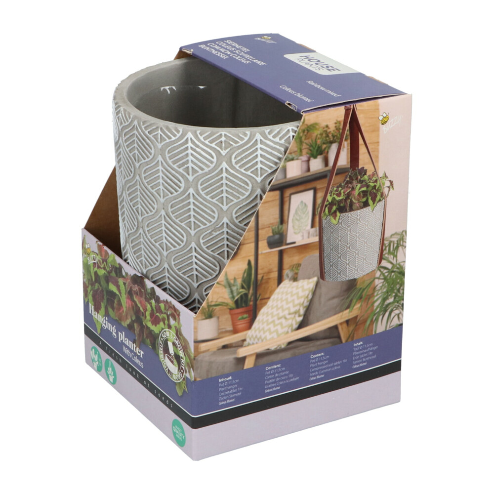 Buzzy House Plants Hangende Plantpot met Coleus zaden | Plein.nl