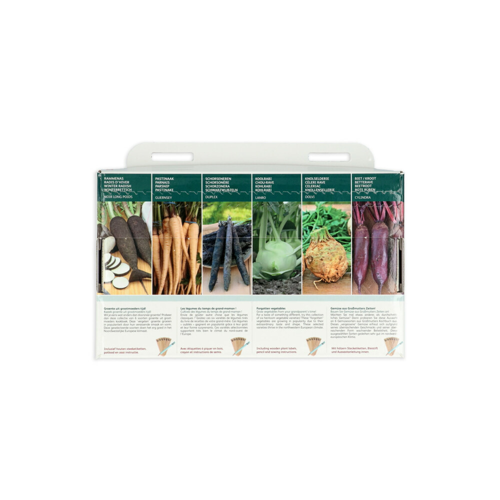 Buzzy Collection Kweekset 6 Groente Uit Grootmoeders Tijd! 1 set | Plein.nl