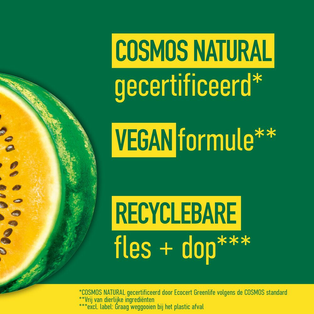 Nature Box Melon Shampoo 385 ml | Plein.nl