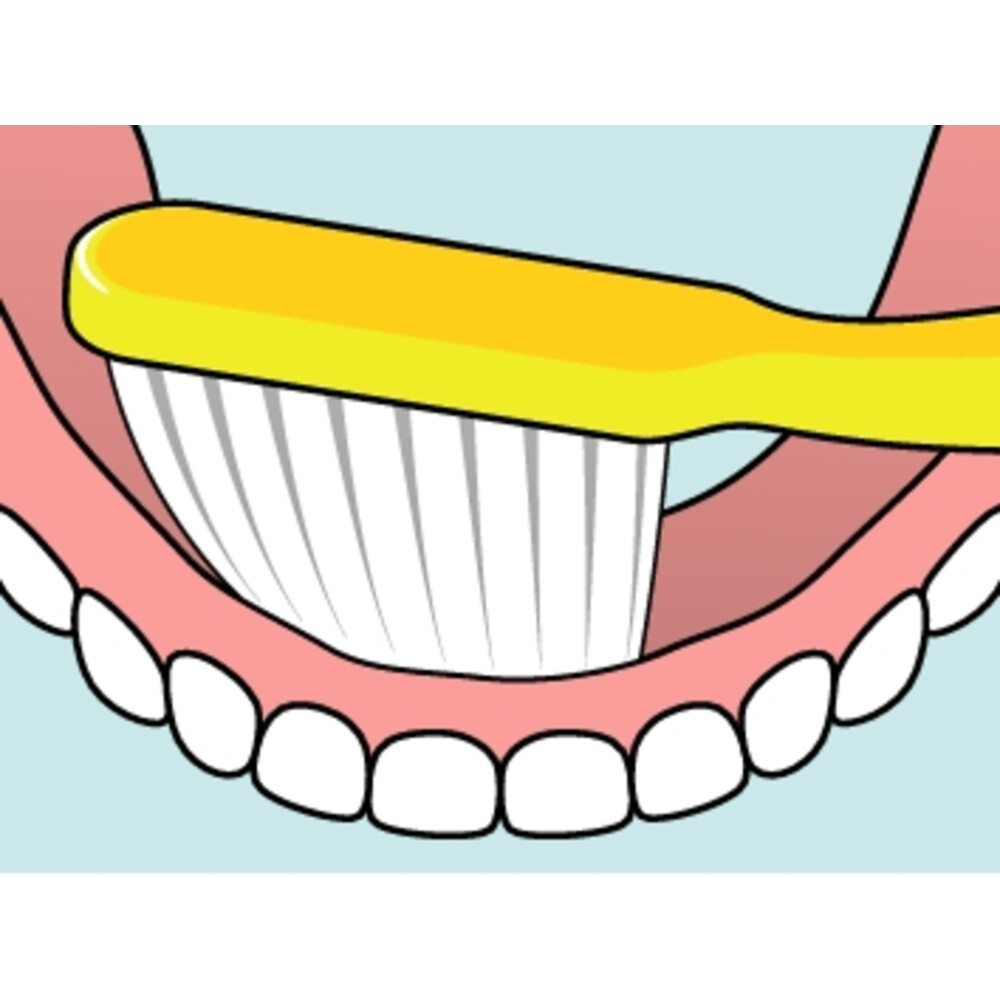 TePe Protheseborstel Classic | Plein.nl