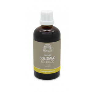 Mattisson Solidago Complex Tinctuur Biologisch 100 ml | Plein.nl