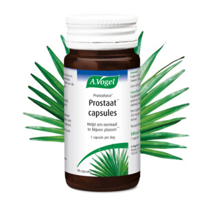 A.Vogel Prostaforce Prostaat 90 capsules | Plein.nl